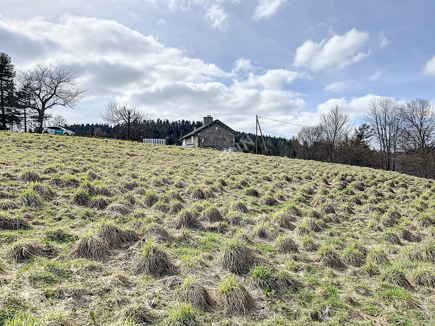 Terrain Dans Hameau De Saint Jeures 3280 M2 A Viabiliser Proche