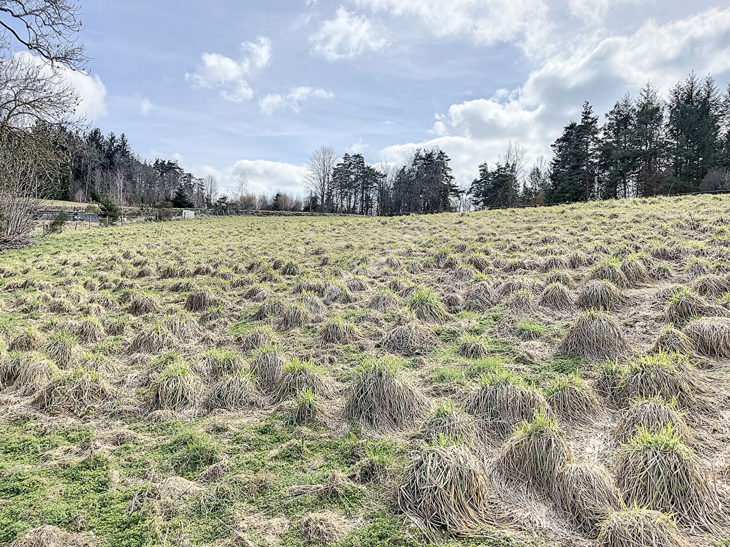 Terrain Dans Hameau De Saint Jeures 3280 M2 A Viabiliser Proche
