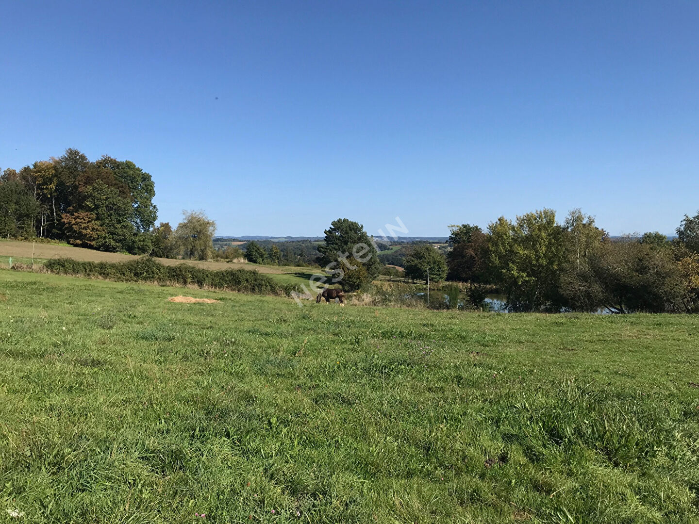 7 hectares de Terrain avec Maison a renover a Saint Mexant avec grange ...