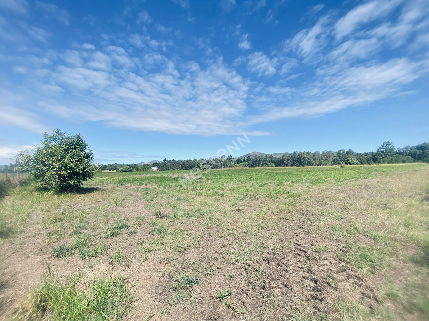 A VENDRE Terrain de 7 hectares 50 ares environ a la tamoa