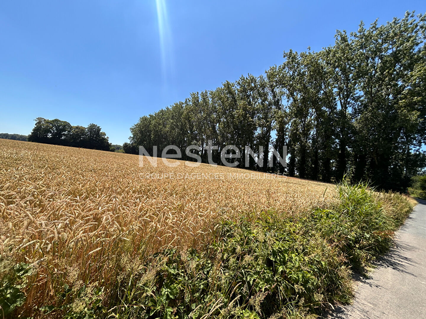 Batiment brique - + de 300m² au sol - 4000m² terrain - fort potentiel ...